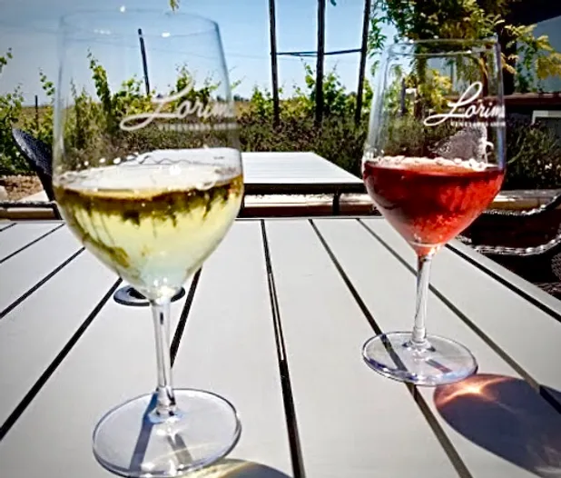 Susie Q Ranch | SusieQ Ranch