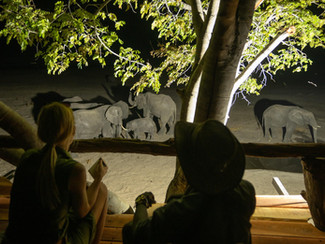 Sable Valley | Hwange Safaris