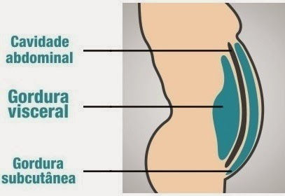 Gordura na barriga tipo mole ou dura: como perder e quais são os riscos ...