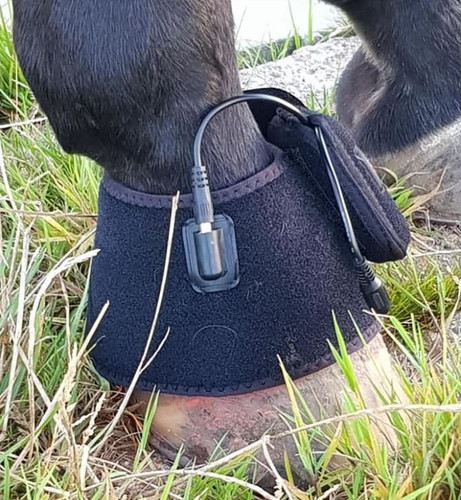 Equine Therapy Systems Infrared Hoof Wraps | NaturopathyInBalance
