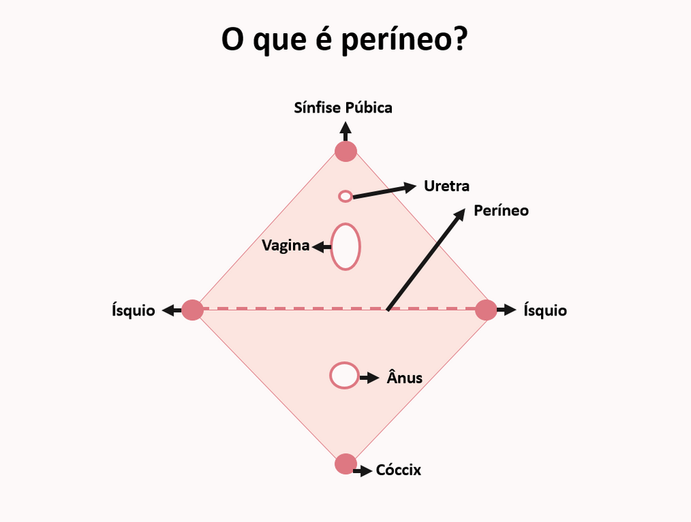 Conhecendo a anatomia da pelve