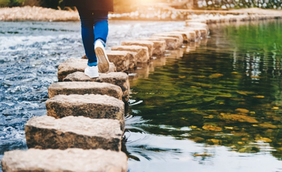 Embracing Failure as a Stepping Stone: Learning from setbacks and ...