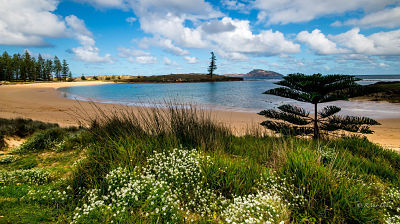 Best Time To Visit Norfolk Island To Experience Weather & Climate