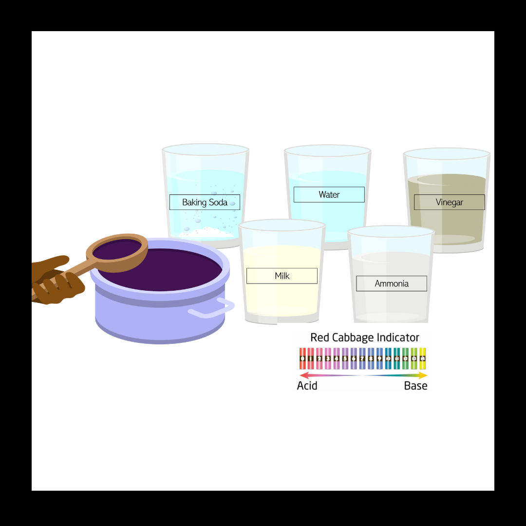 Crazy Cabbage Chemistry: Testing the pH of Household Liquids | CRSci