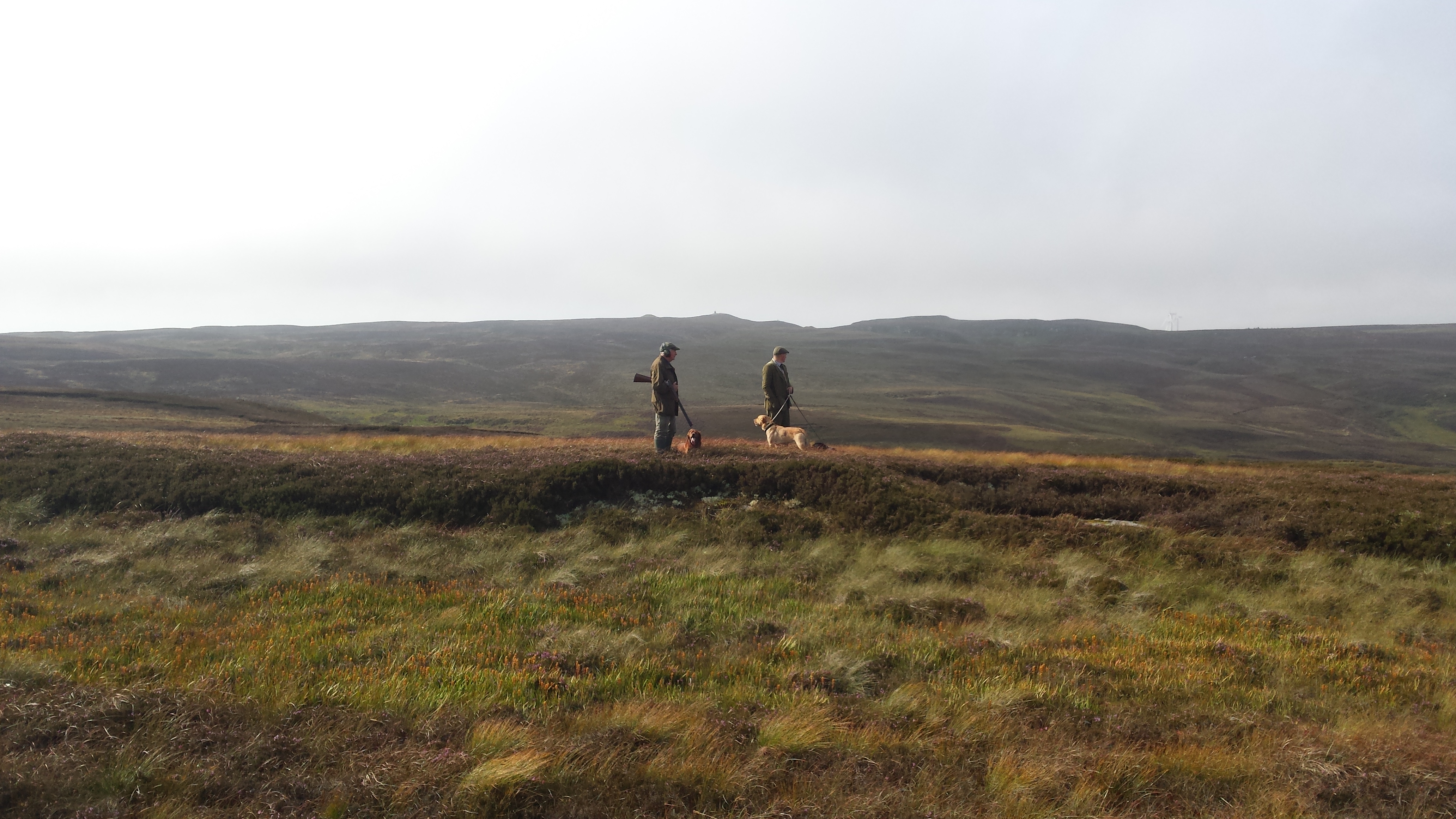 Thrumster House, B+B, Self catering, Fishing, Fieldsports in Caithness