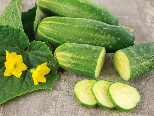 CUCUMBER, Straight 8 | Michigan Heirlooms