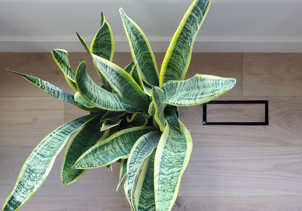 Home | ASKA Interior Design