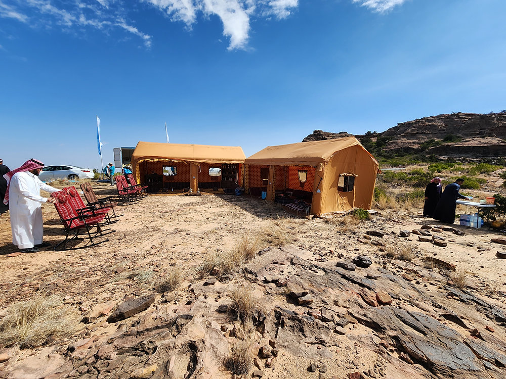 Release of Nubian Ibex in the Asir