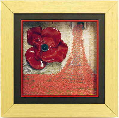 Bespoke Poppy Framing | Frame My Poppy | All Aspect Art & Print