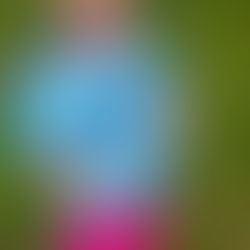 LES School Counseling