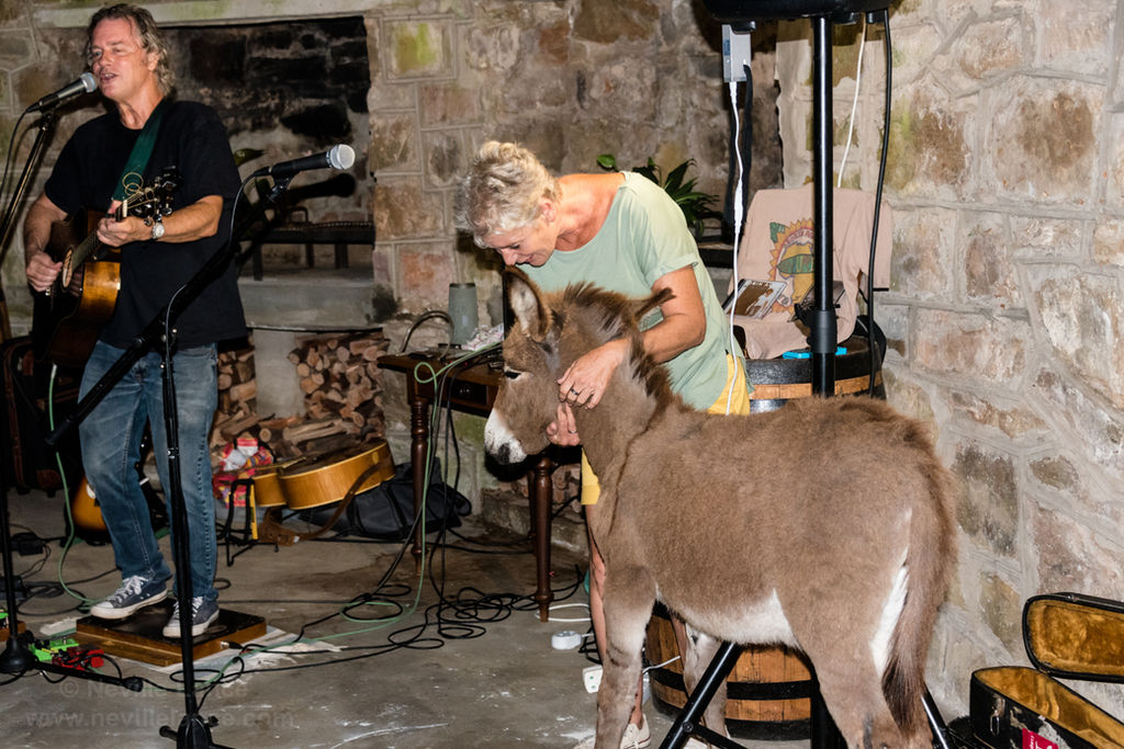 BLOG | Neville Lance Photos