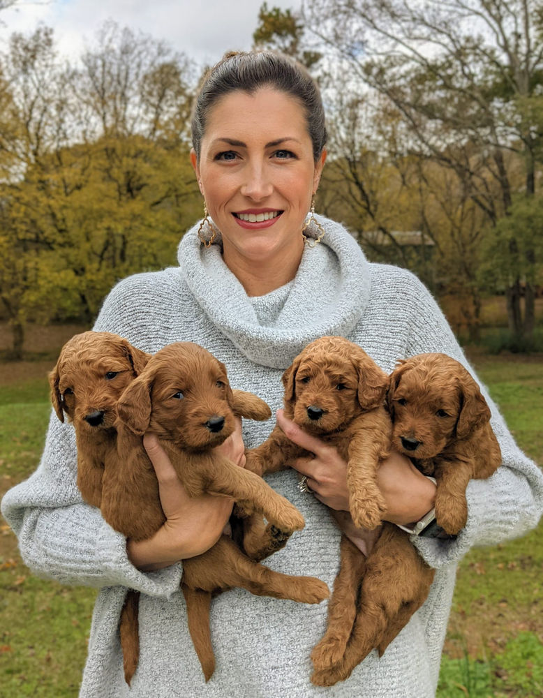 Types of Service Dogs