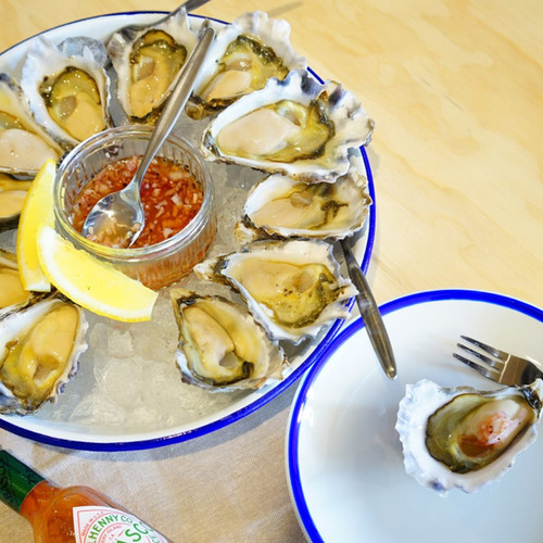 SHUCKS OYSTER BAR AND KITCHEN | ManlyHarbourVillage
