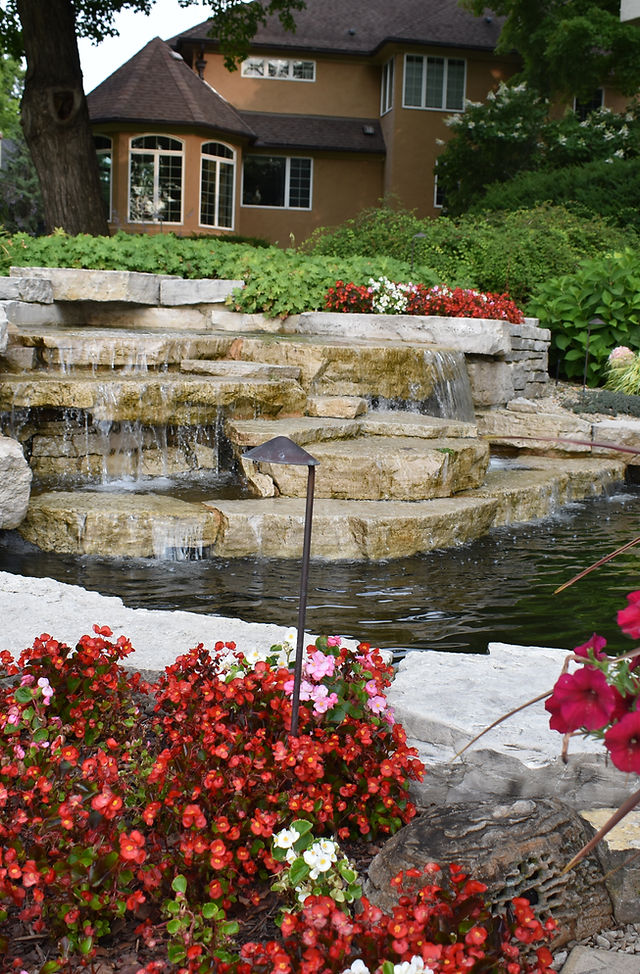design landscape services