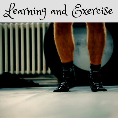 Learning and Exercise: A Conversation with ActivEd Founder Dr. Julian Reed