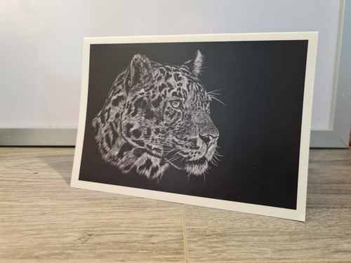 SOLUS CARD | Prestige-Artwork