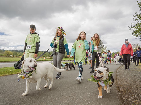 Canine Cancer Alliance