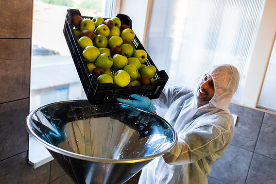 Hidegen préselt gyümölcslé | Präs