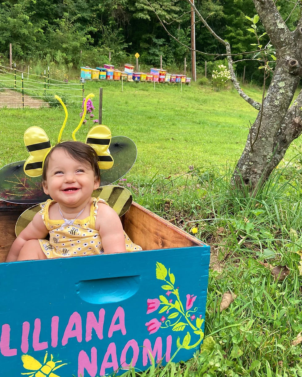 Honeybee Bliss | Honey | Gifts | Gourmet Honey |Sponsor a Hive