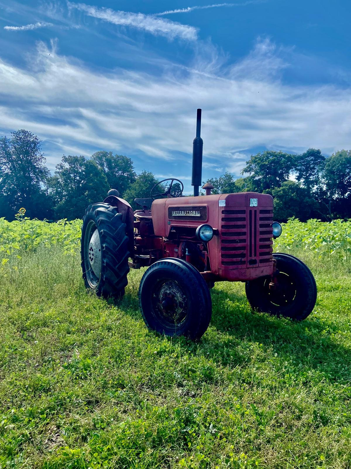 Parking arrival slot | Rotherwick Patch