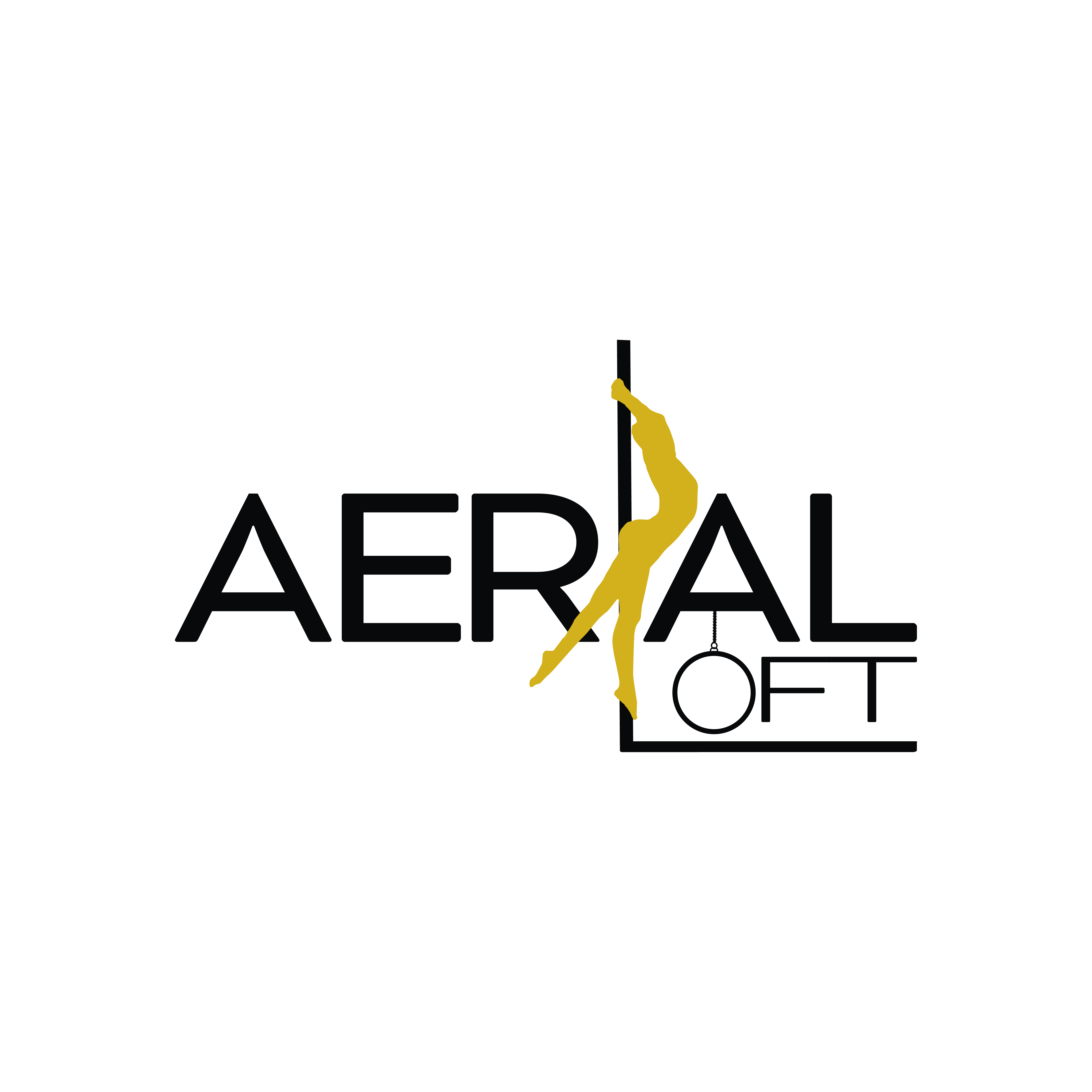 AERIAL LOFT