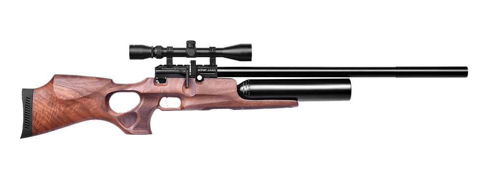 Carabines PCP | armurerietychon 12/17