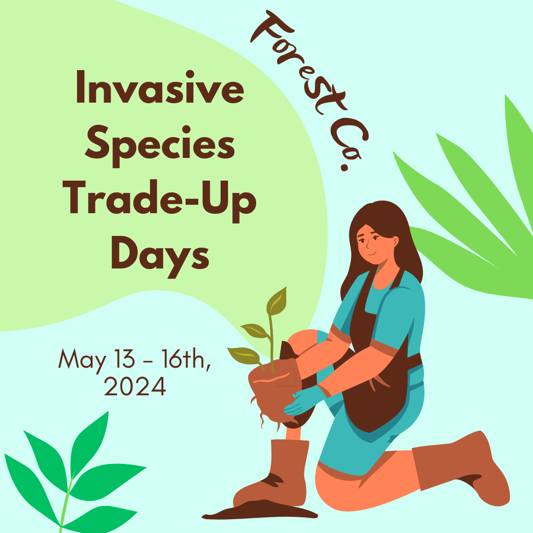 Invasive Species Trade-Up Days - Forest County | WildRiversISC