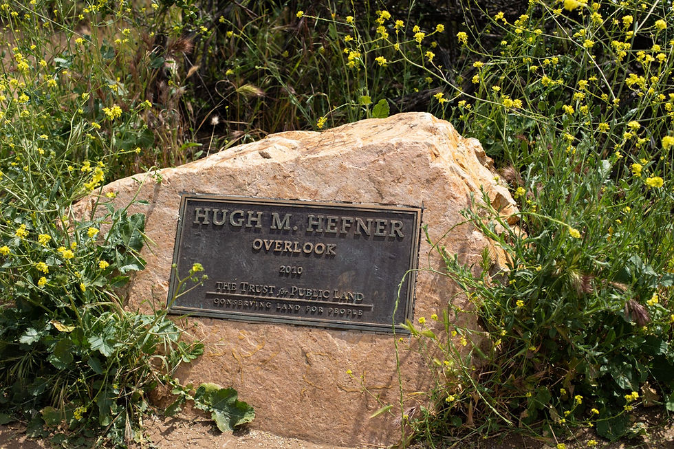 Trail Review: Wonder View Trail to the Wisdom Tree and the Hollywood Sign