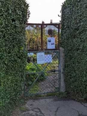 Haynes Road Allotments