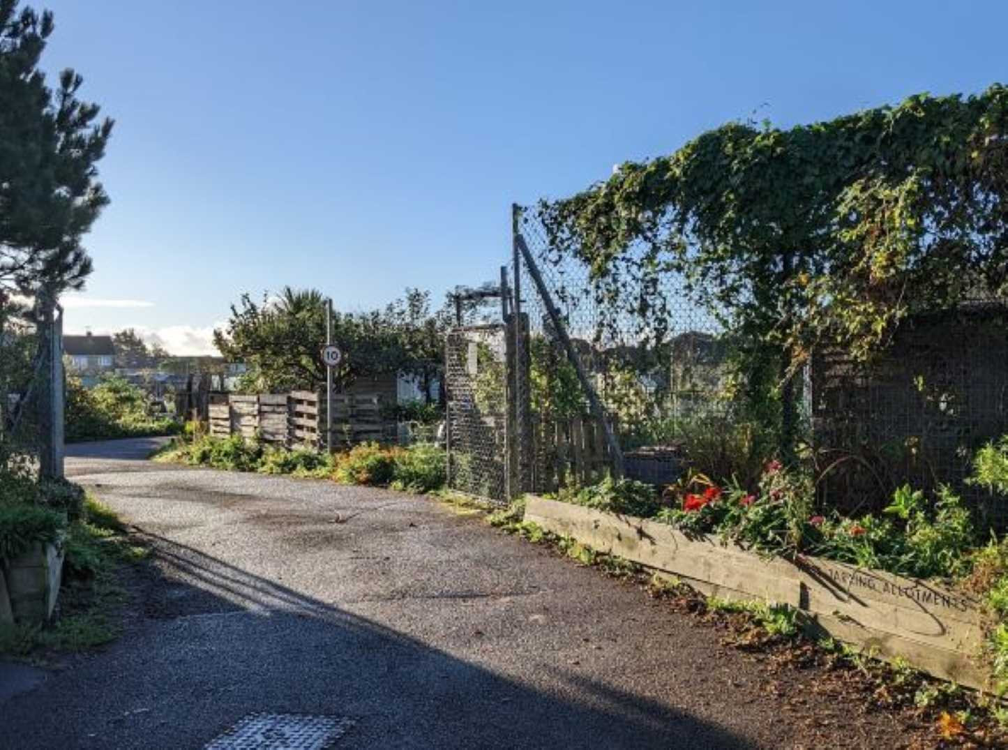 West Tarring Allotments