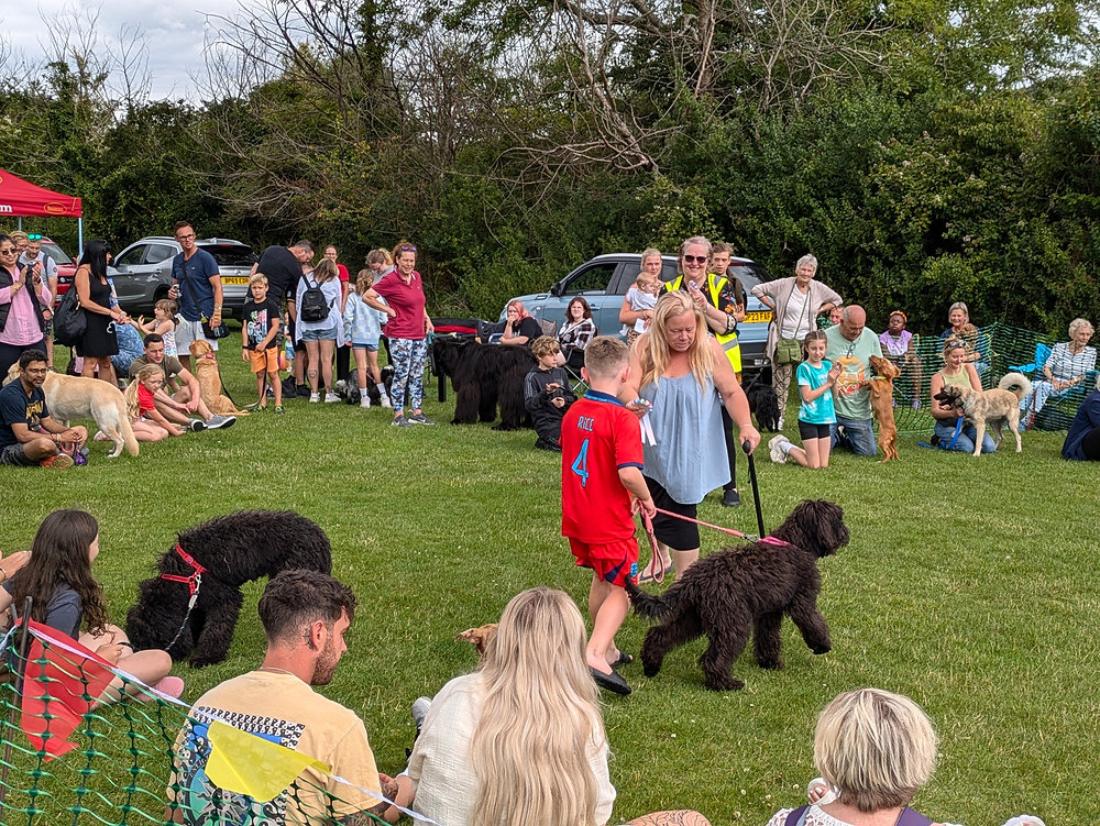 The Return of the Findon Valley Dog Show