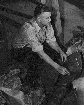 Howard C. Hollis | (1899–1985) | Monuments Men and Women Foundation