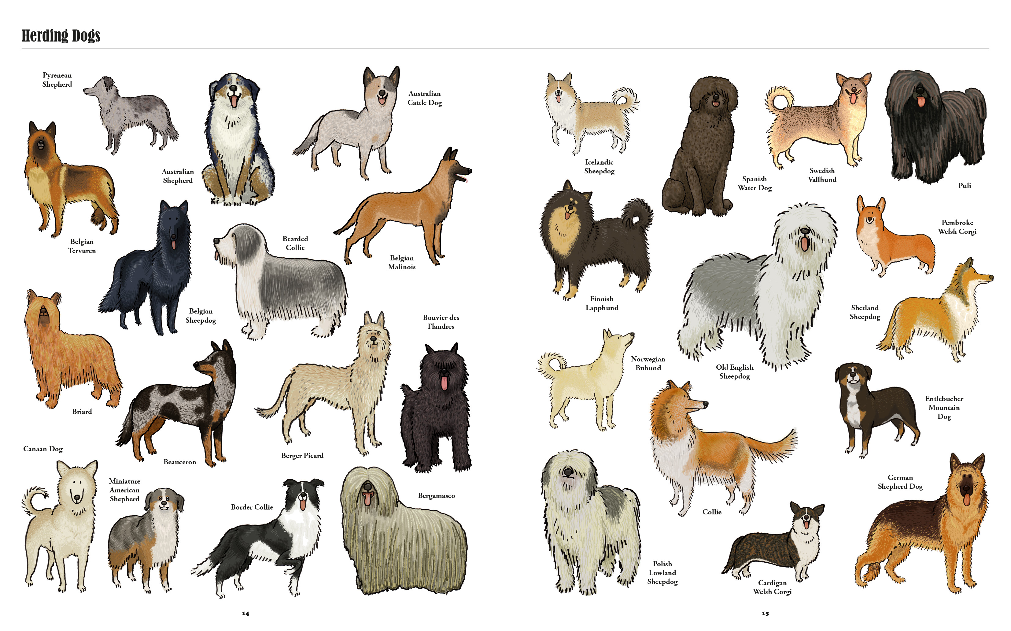 Big Dogs, Little Dogs | 8books