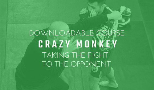 CM2 GAME - FIGHTING IN THE MID-RANGE | CRAZY MONKEY DEFENSE