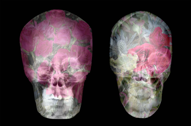 SKULL PORTRAITS | alexanderdecadenet