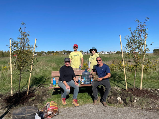 Our Volunteers | Tree Eastie