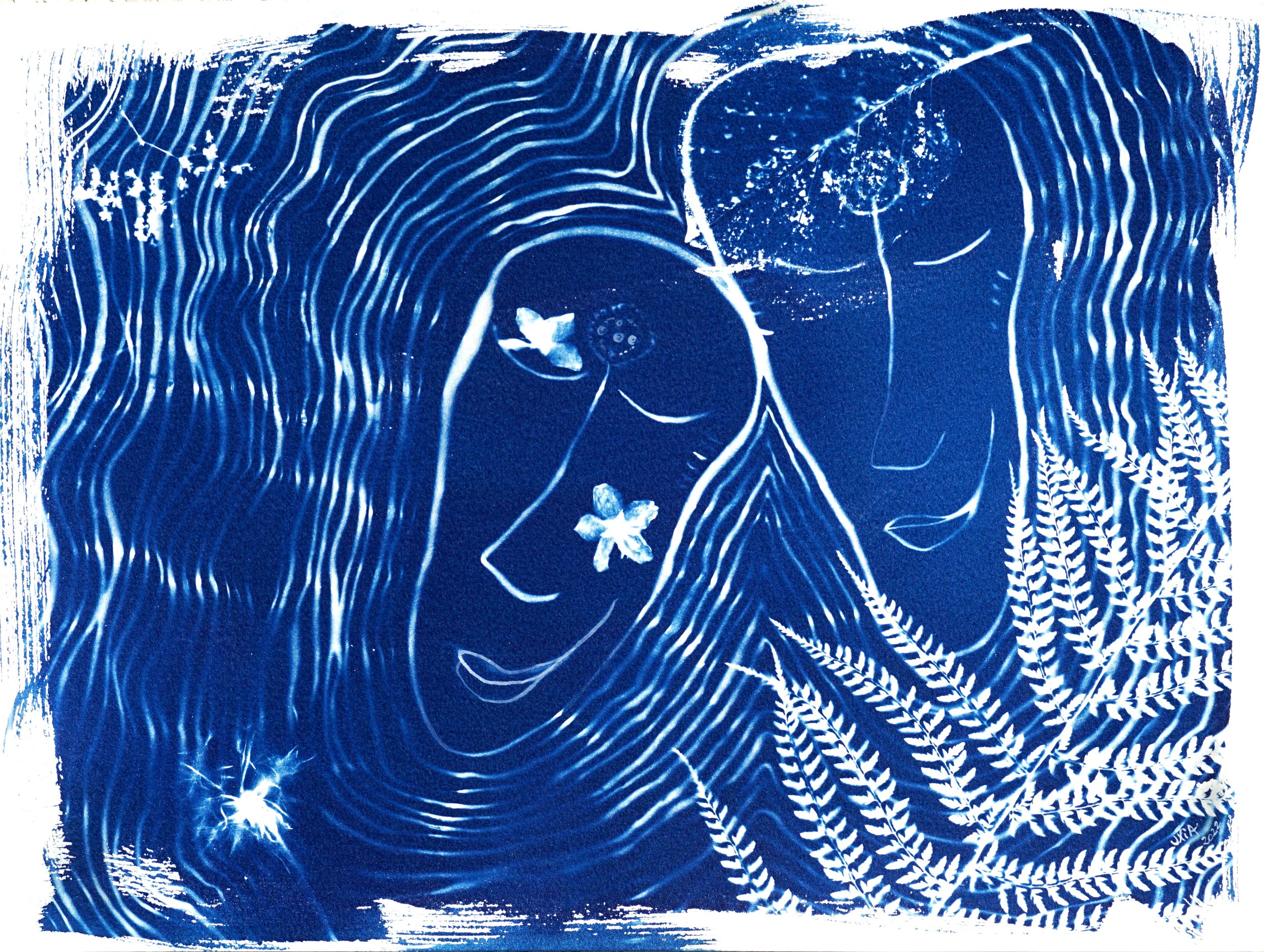 cyanotypes d'artiste - Uxia