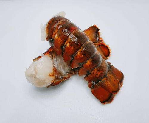 Canadian Lobster Tail (Raw, Shell-On) | Prime Butchery