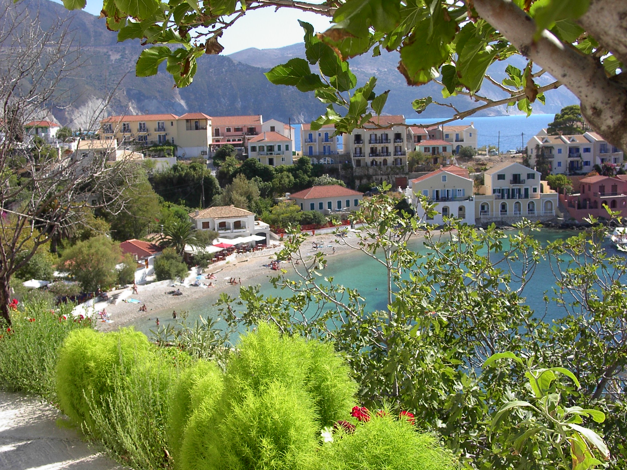 Νηρηιδες Ασσος Κεφαλονια ενοικιαζομενα δωματια -διαμερισματα