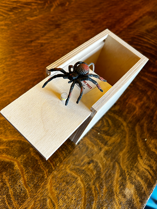Spider box prank store