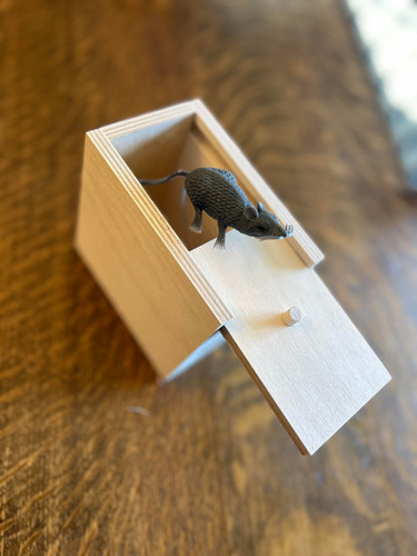 Amish Trick Mouse Box | The Amish Trading Post