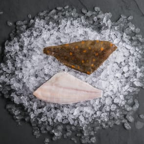 Plaice Fillet | Pro Fish