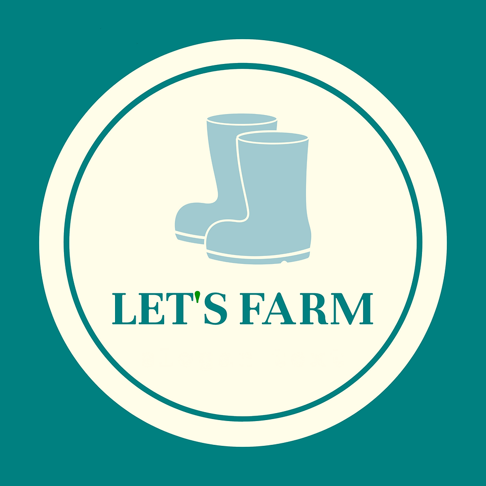 Let's Farm | working farm for people with learning disabilities Cheshire,UK