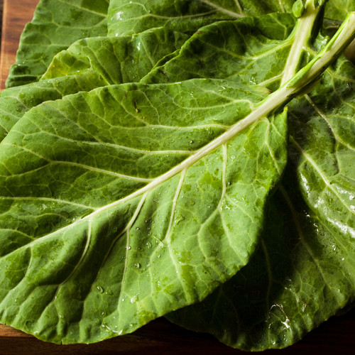 Georgia Southern Collard seeds | Blue Pumpkin Seed Co