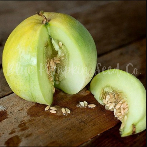 Sakata's Sweet Melon seeds | Blue Pumpkin Seed Co