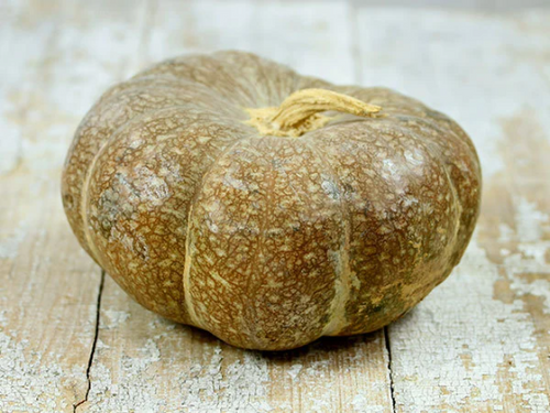 Strawberry Crown Pumpkin Seeds | Blue Pumpkin Seed Co