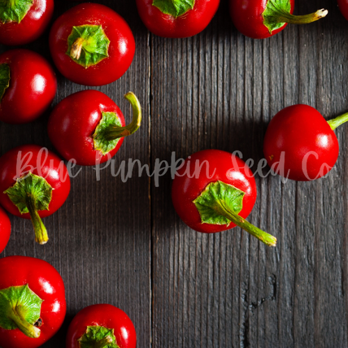 Red Hot Cherry Pepper seeds | Blue Pumpkin Seed Co
