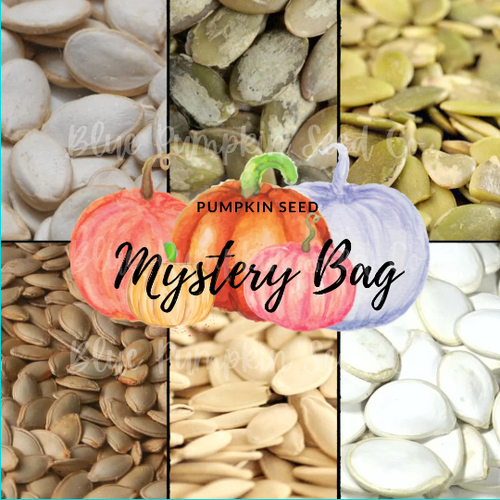 Mystery bag of pumpkin seeds | Blue Pumpkin Seed Co