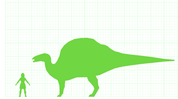 Ouranosaurus | JP-Genesis Archives