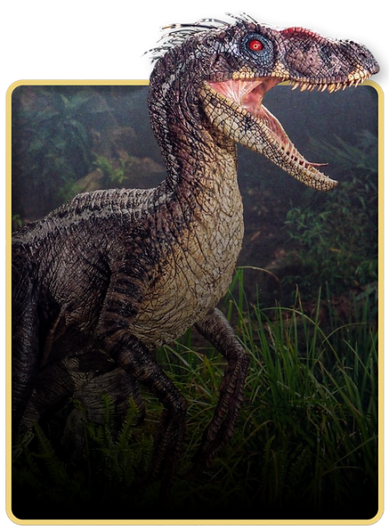 Jurassic Field Guide